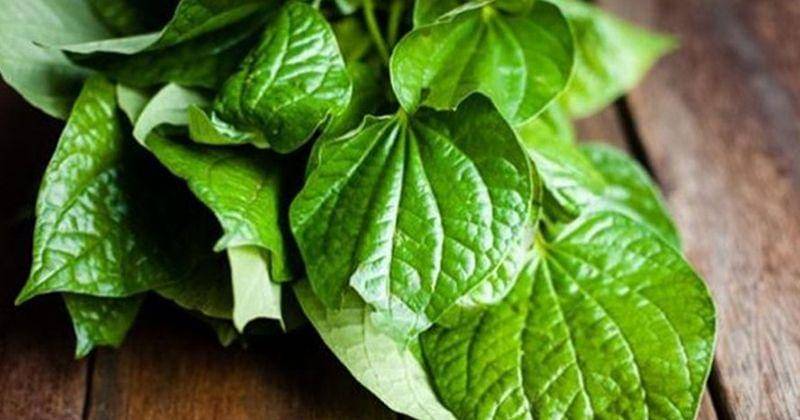 10 Cara Menghilangkan Bau Miss V dengan Bahan Alami | Popmama.com